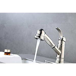 Derengge 1 or 3 Hole Pull-Out Kitchen Faucet Stainless Steel Single Handle Kitchen Sink Faucet with Deck Plate,EW-083C-BN