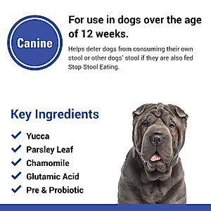 Vet Classics Stop Stool Eating Pet Health Supplement for Dogs – Dog Breath Freshener – Stops Dogs from Eating Stool – Enzymes, Probiotics – 90 Soft Chews