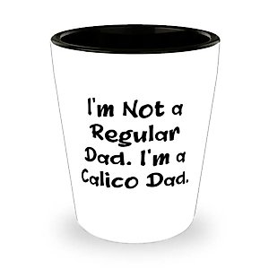 Joke Calico Cat, I'm Not a Regular Dad. I'm a Calico Dad, Unique Shot Glass For Cat Dad From Friends
