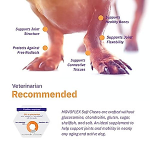 MOVOFLEX Dog Hip & Joint Support for Large Dogs - Veterinarian Formulated - One Chew A Day Serving Size - Gluten Free - 60 Soft Chews