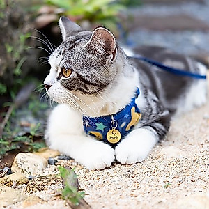 Dog Tags Engraved for Pets Personalized Dog Name Tags Dog ID Tags Small Cat Tags Large Dog Collar Tags Custom Text Stainless Steel Engraved on Both Sides(L Silver)