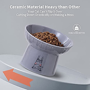 6.5 Inch Extra Wide Ceramic Raised Cat Bowl Set, Tilted Elevated Cat Bowls for Food and Water, Anti Whisker Fatigue, Stress Free, Anti Vomiting, Protect Spine, Lead & Cadmium Free, White & Grey