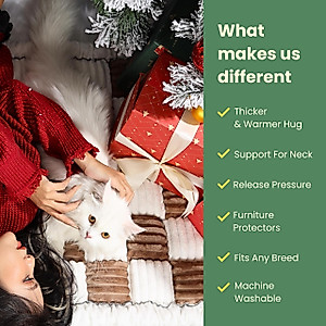 Cattasaurus Pet Couch Cover, Washable Sofa Protector for Cats & Dogs, Pet-Friendly Couch Mat for Cats & Dogs Up to 120lbs (Large, Blue Grey)