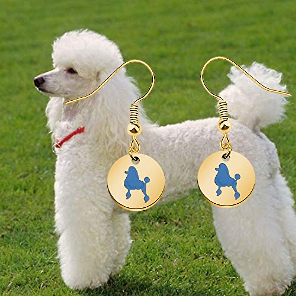 LBSBO Sigma Gamma Rho Inspired Jewelry Pretty Poodle Earrings 1922 Sorority Paraphernalia Gift (Poodle Earrings)