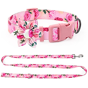 DQGHQME Dog Collar and Leash Set Girls 5ft/Foot Pink Dog Leash and Collar Adjustable Dog Harness and Leash Set Puppy Collars with Beautiful Floral Bow Tie for Small Medium Large Female Dogs,Rose Pink