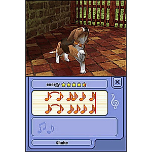 The Sims 2: Pets (Nintendo DS)