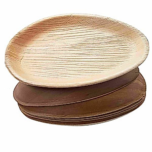 Dtocs Palm Leaf Plates Pack 50, 10X6 Inch Oval | Eco-friendly, Compostable, Natural, Organic Disposable Party Plates For Wedding, Camping, Birthday Dinner | Better Than Bamboo, Paper Plates