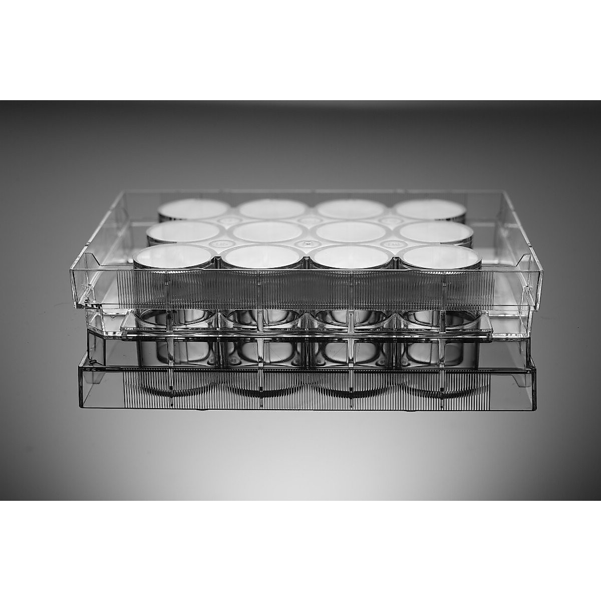 Nest Scientific 712001 Polystyrene 12 Well Cell Culture Plate, Flat Bottom, Tissue Culture Treated, Sterile, Clear, 1 per Pack, 50 per Case (Pack of 50)