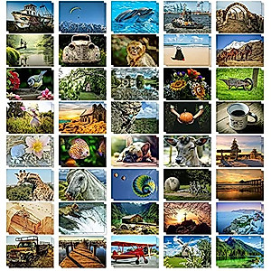 Best Paper Greetings 40 Pack Bulk Animal and Travel Postcards From Around the World for Mailing, Assorted Nature Thank You Notes (4 x 6 In)