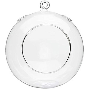 Mkono 6-Inch Hanging Glass Planter Round Air Plant Terrarium Decorations for Succulent, Tillandsia, Candle Holder, 2 Packs