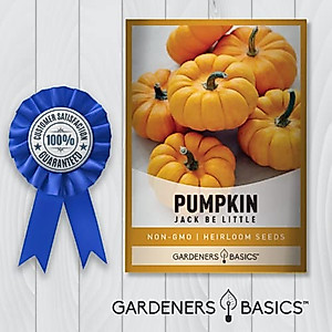 Mini Pumpkin Seeds for Planting (Jack Be Little) Small Heirloom, Non-GMO Vegetable Variety-5 Grams Seeds Great for Summer Pumpkin Gardens by Gardeners Basics