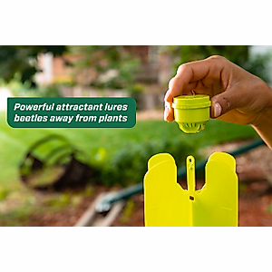 RESCUE! Japanese Beetle Trap – Reusable Bag