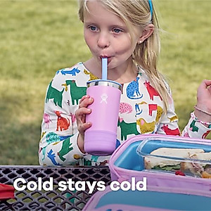 Hydro Flask Kids 12 Oz Tumbler With Straw And Boot Anemone