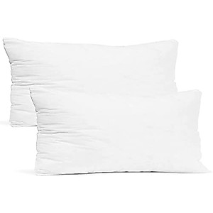 Empyrean Bedding Throw Pillow - 12 x 18 Inches Decorative Pillow Insert - Cotton Blend Outer Shell Indoor & Outdoor Pillows (Pack of 2, White)