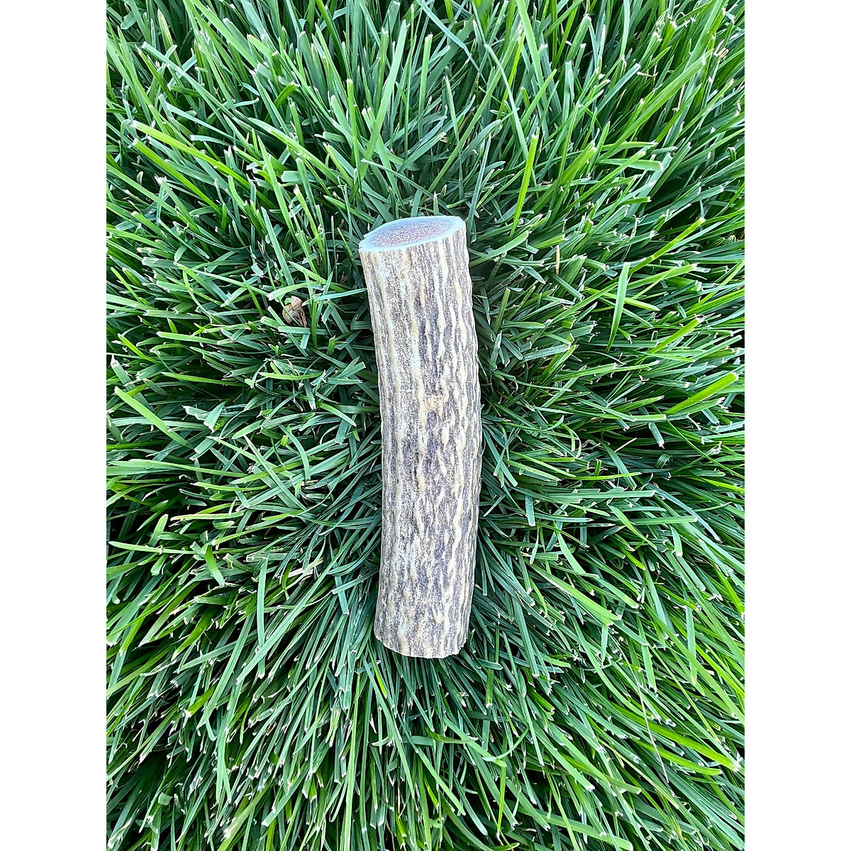 Good Trouble Pets Premium Elk Antlers for Medium Dogs - All-Natural, Shed Antler Chews for Dental Health & Calming - Durable Dog Bones for Aggressive Chewers - Cruelty-Free, North American Sourced