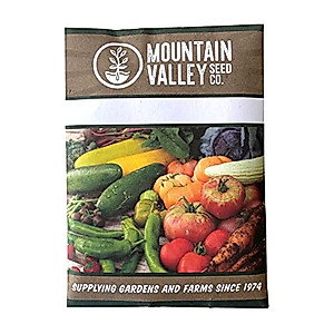 Lemon Grass Seeds for Planting Outdoor - 250 Mg Packet - Non-GMO, Heirloom Culinary Herb Garden Lemongrass Seeds - Cymbopogon citratus