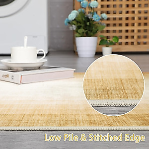 RUGSREAL Washable Area Rug Modern Ombre Entryway Rug Area Rug Doormat Stain Resistant Non-Slip Contemporary Border Gradient Floor Carpet for Front Entrance Kitchen Bathroom, Taupe, 2' x 3'