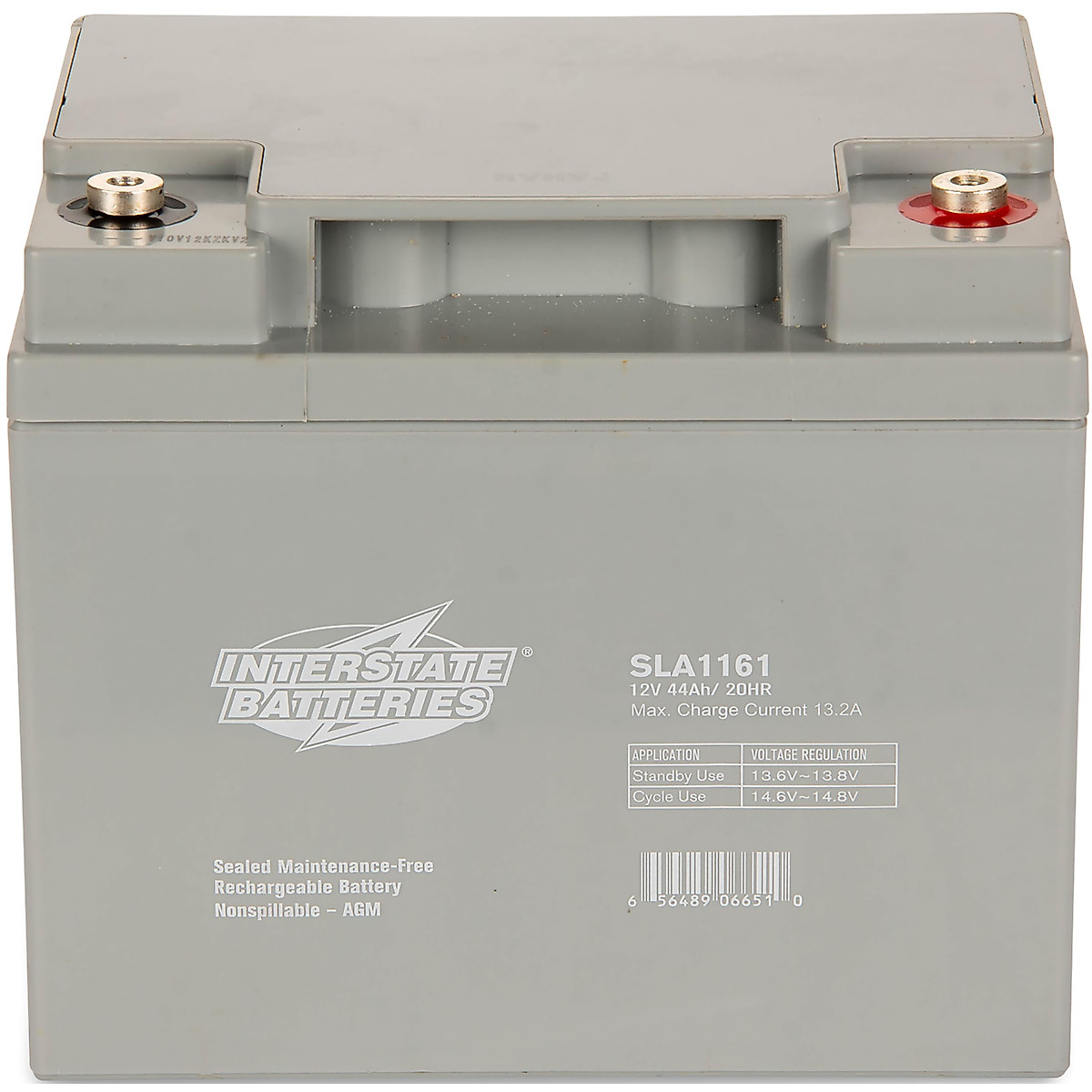 Interstate Batteries 12V 44Ah Battery (Insert Terminal) SLA AGM VRLA Rechargeable Replacement for UPS Backup Power, Fire & Security, Emergency Lighting (SLA1161)