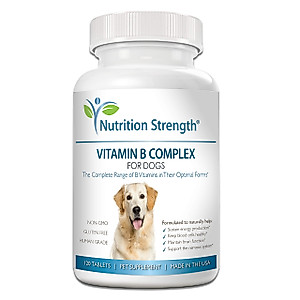 Nutrition Strength Vitamin B for Dogs, Complete B Complex for Dogs, Promote Blood Cell & Nervous System Health, Help Sustain Cellular Energy Production & Maintain Brain Function, 120 Chewable Tablets