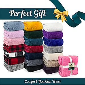 PAVILIA Plush Sherpa Throw Blanket for Couch Sofa | Soft Fluffy Shaggy Fleece Blanket | Fuzzy, Cozy, Warm Microfiber Throw Solid Blanket, Lavender Light Purple, 50x60