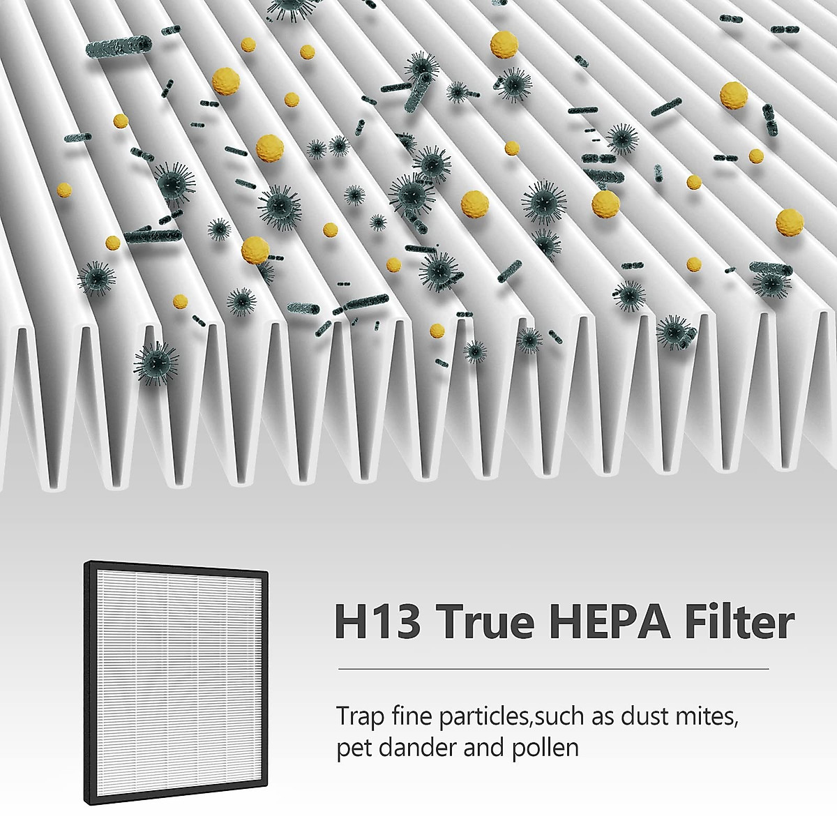 GoKBNY LV-PUR131 Replacement Filter Compatible with LV-PUR131 and LV-PUR131S Purifiers, LV-PUR131-RF, 2HEPA Filters + 2Activated Carbon Filters