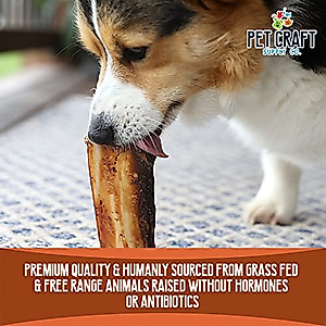Pet Craft Supply All Natural Healthy Meaty Beef Marrow Bones Dog Chews Treats for Aggressive Chewers Long Lasting Rawhide Free Made in USA Premium Slow Roasted for Puppies Small Medium Dogs 3 Pack