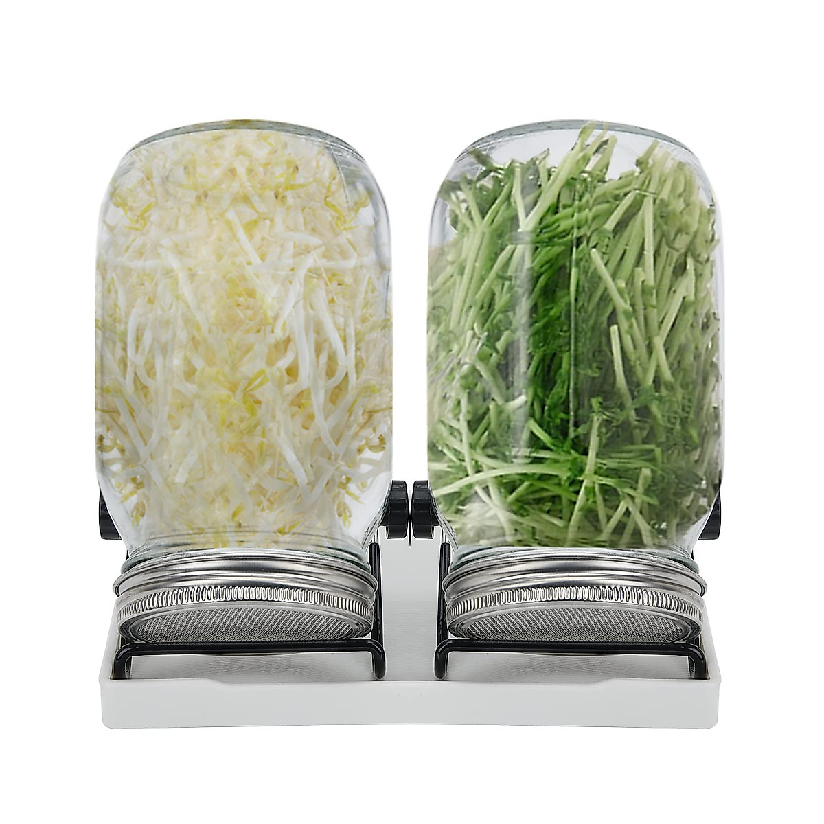 Lulonpon 2 Pieces Sprouting Stands, 304 Stainless Steel Sprouting Stands with Tray for Sprouting Jar, Sprouting, Sprouting Seeds, Sprouting Kit