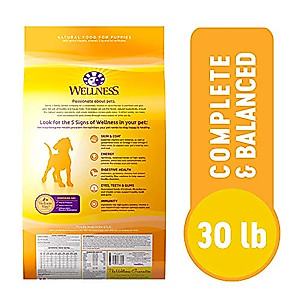 Wellness Complete Health Dry Puppy Food, Chicken, Salmon & Oatmeal, 30-Pound Bag