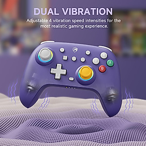 ECHTPower Wireless Switch Controller, Switch pro Controller for Nintendo Switch/Lite/OLED Controller, Gaming Controller with Hall Effect Joysticks, Wake-up, Programmable, 6 Axis Gyro, Turbo