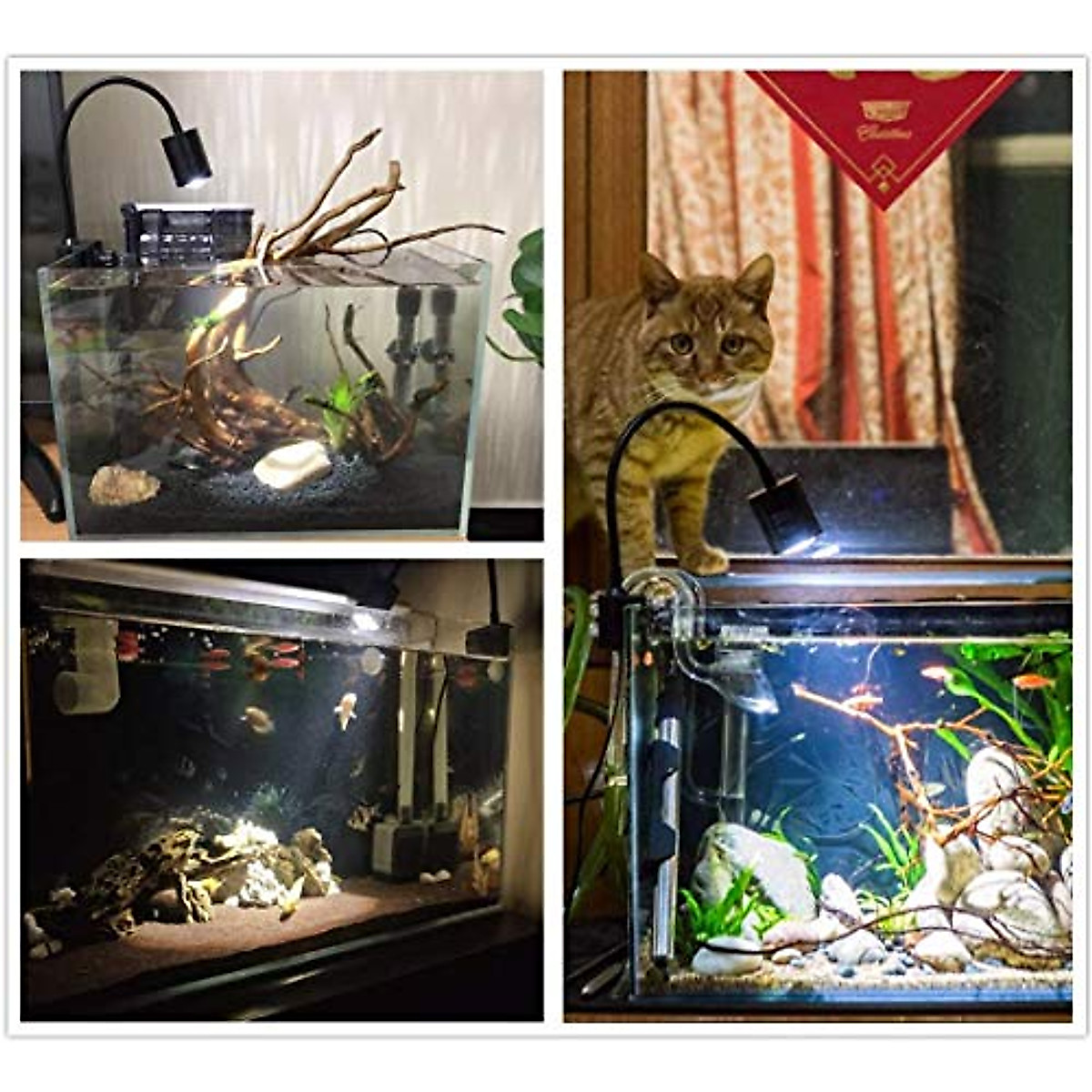 NILIPAL LED Aquarium Light - Freshwater Fish Tank Light Vivarium Terrarium Spotlight 3 Colors 3000K 4000K 6000K Cool Warm White for Planted Fish Tank (3 Colors)