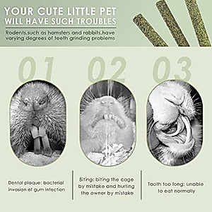 ERKOON 26Pcs Timothy Hay Sticks, Chinchilla Treats, Chew Toys for Teeth for Bunnies Guinea Pigs Gerbil