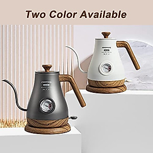 Fooikos Gooseneck Electric Kettle with Thermometer - 1.0L 304 Stainless Steel Water Kettle for Coffee and Tea Brewing -800W Fast Heating in 4 Minutes(Grey)