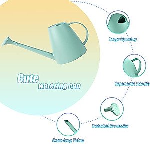 Watering Can for Indoor Outdoor Plants, Modern Small Watering Cans with Removable Nozzle, Long Spout Watering Can for Indoor Bonsai Plants Garden Flowers 1/2 Gallon 1.8L 60OZ