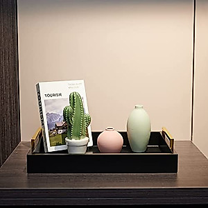 16"x12" Serving Trays with Handles, Black Decorative Serving Tray, Ottoman Trays for, Living Room, Bathroom, and Outdoors Decorative Trays (Black)