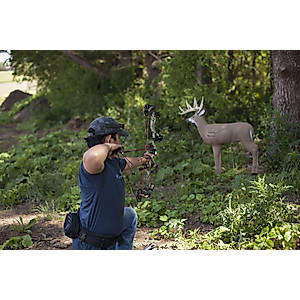 Field Logic Replacement Insert for Shooter Buck 3D Archery Targets