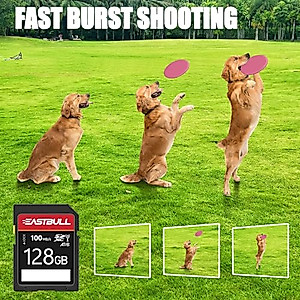 EASTBULL 2-Pack SD Card 128GB U3 V30 High-Speed 100MB/s Read Class 10 SD Card SDXC Memory Card for Camera, Full HD Video, with 2 Mini Case (128GB, 2 Pack)