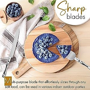 Homi styles Cake Knife and Server - Wedding Cake Knife Set - Serving Set for Receptions, Birthdays - Cake Cutting Set - Match the Color to Your Event Theme - Cake Knife and Cutter (Silver)