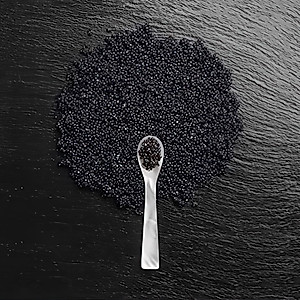 Alterna Caviar Anti-Aging Replenishing Moisture Shampoo and Conditioner Set, For Dry, Brittle Hair, Protects, Restores and Hydrates, Sulfate Free