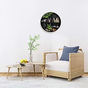 Crescent Moon Shelf Wall Decor - Black, Unique, Moon Shaped Floating Shelves for Crystal, Stones, Essential Oil Display Holder - Wooden Boho Wall Decor for Bedroom, Dorm, Living Room, Nursery