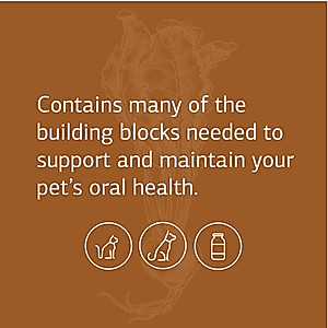 Standard Process VF Bio-Dent for Pets - Bone Growth & Healthy Tissue Support Pet Supplement - Overall Mouth Health Support Supplement - Nutritional Supplement for Cats & Dogs - 90 Tablets