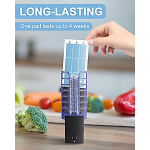 24 Pack Refills Glue Cards for Dynatrap DT3009 DT3019 DT3039 and Gardner Flyweb Classic Indoor Insect Mosquito Trap Refills Sticky Cards Replacement Glue Cards