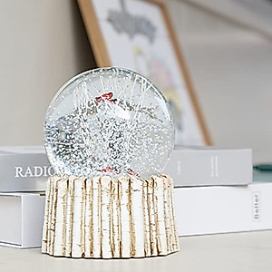 Cardinal Snow Globe, Red Bird Snowglobe Animal Snow Flake Glass Snow Globes for Adults Men Birthday, 100MM Valentines Day Snow Globe