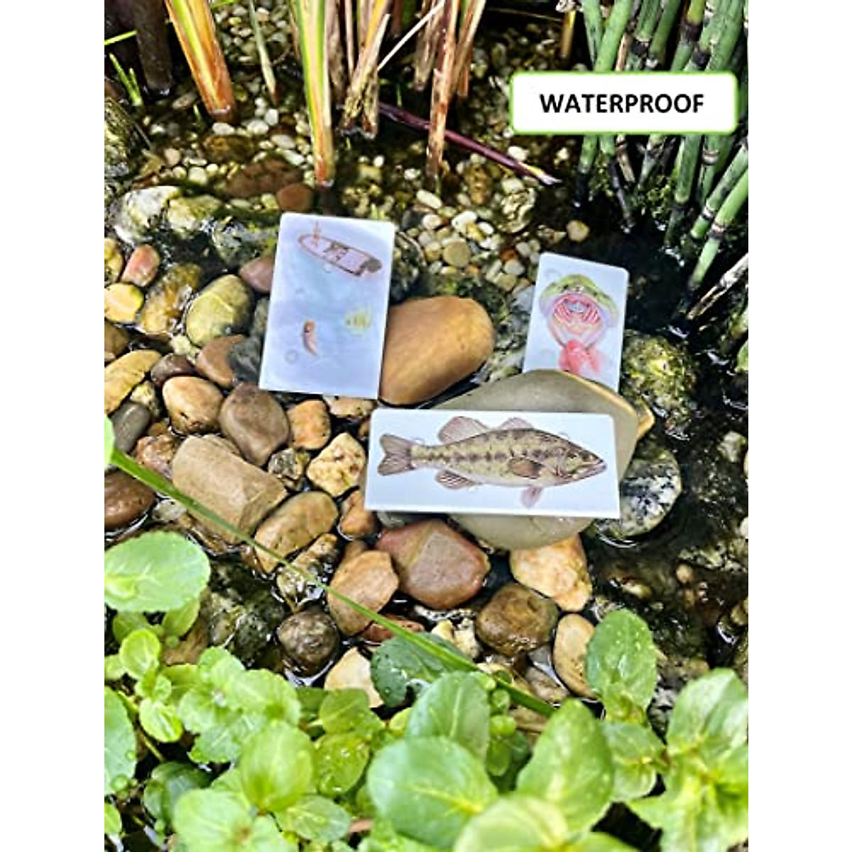 Magnetic Bookmarks - Largemouth Bass - Magnet Page Clips Set of 3 - Fish Lovers Gifts - Book Markers - Gift for Fisherman - Unique Fishing Gift