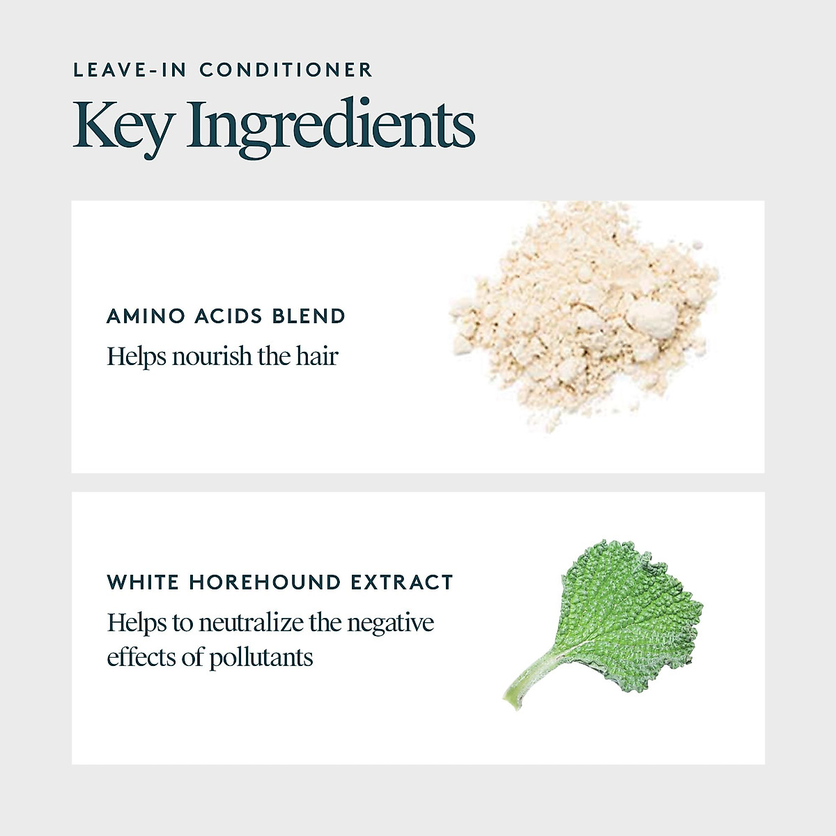 VIRTUE Purifying Leave-In Hair Conditioner Spray, Reduce Frizz and Split Ends, Detangles and Nourishes, Color Safe, 5 Fl Oz