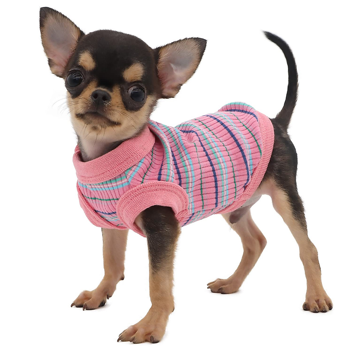 LOPHIPETS 100% Cotton Rib Dog Shirt Vest for Small Dogs Teacup Chihuahua Yorkie Puppy Clothes Tank Tee-Pink/XS
