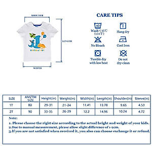 Dinosaur 1st Birthday Party T-Shirt - Toddler White Cotton Tee, Baby Boys Gift