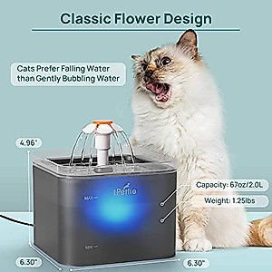 iPettie Neverland Cat Water Fountain with LED Light, 67oz/2.0L, Ultra Quiet Cat Drinking Fountain with Filter, Automatic Pet Water Fountain, Cat Fountain for Cats and Small Dogs, Grey