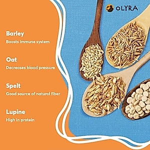 Olyra Breakfast Biscuits Variety Pack | Kids Healthy Snacks | Low Sugar, High Fiber, Plant-Based Protein Cookies | Organic Breakfast Cookies with Ancient Greek Grains | Boost Energy and Immunity 4 Count (Pack of 6)