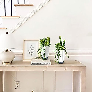 Hollyone Artificial Succulents Plants Set of 2 Faux Succulents 9" Fake Succulent Plants in Ceramic Pot Succulent Plant for Desk Modern Home Living Room Office Table Shelf Bathroom Decor