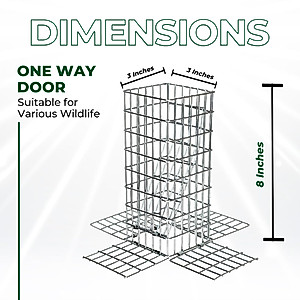 Rhino Excluders® S33 One Way Door for Removal of Squirrels, Chipmunks and Rats